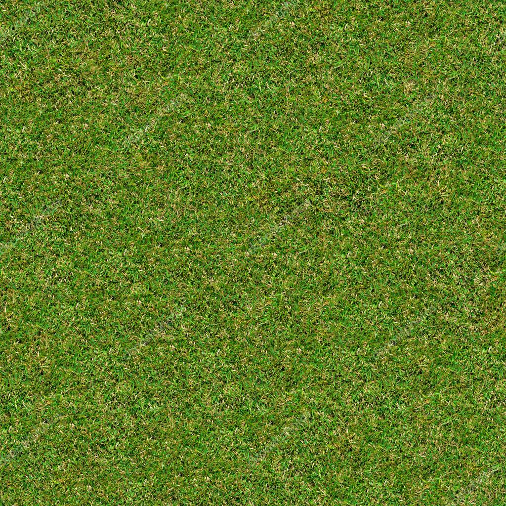 Erba Green Meadow. Texture senza cuciture . - Foto Stock: Foto ...