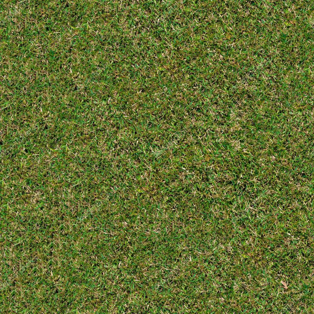 Spring Grass. Seamless TileableTexture. — Stock Photo © tashatuvango ...