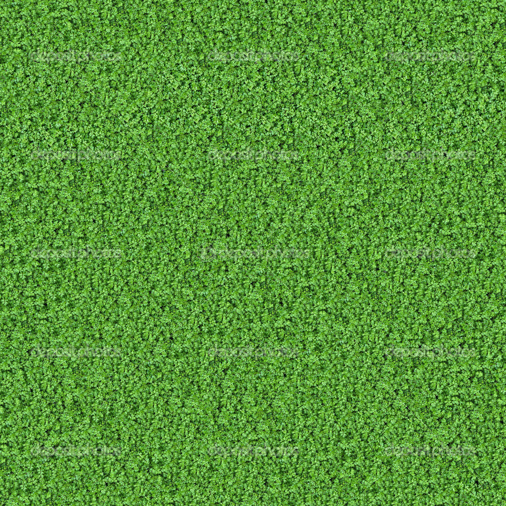 giovane erba verde. seamless texture piastrellabile — Foto Stock ...
