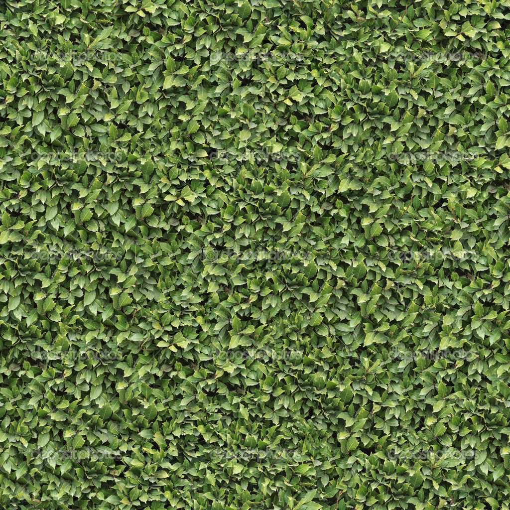 Laurel Bush Surface. Seamless Texture. — Stock Photo © tashatuvango ...