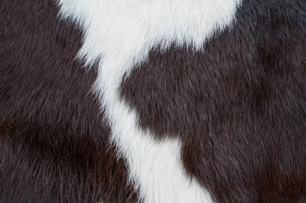 Cow tail Stock Photos, Royalty Free Cow tail Images | Depositphotos