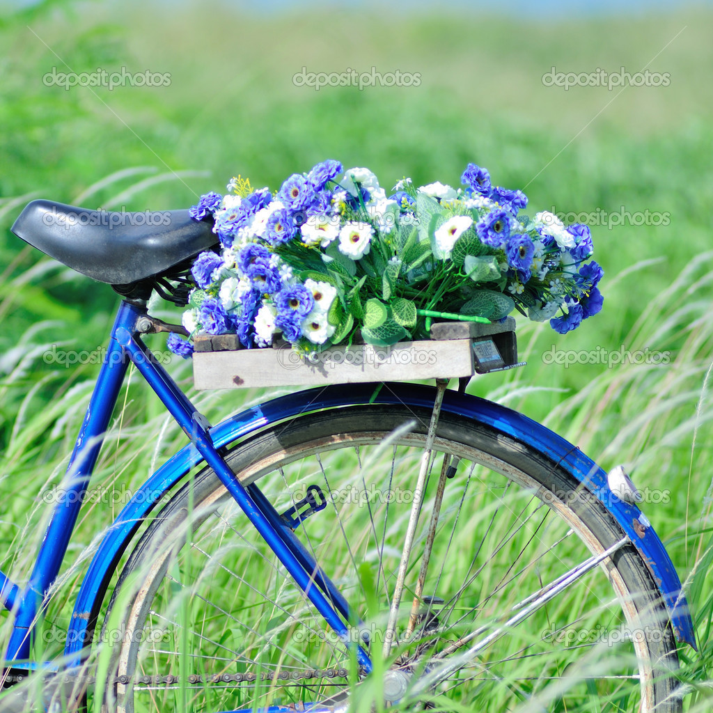 Flower bike Stock Photo by ©arztsamui 29471997