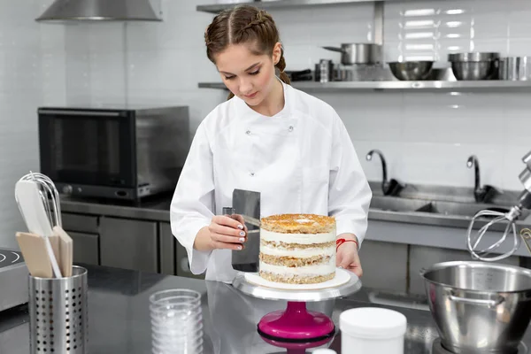 Chef level Stock Photos, Royalty Free Chef level Images | Depositphotos