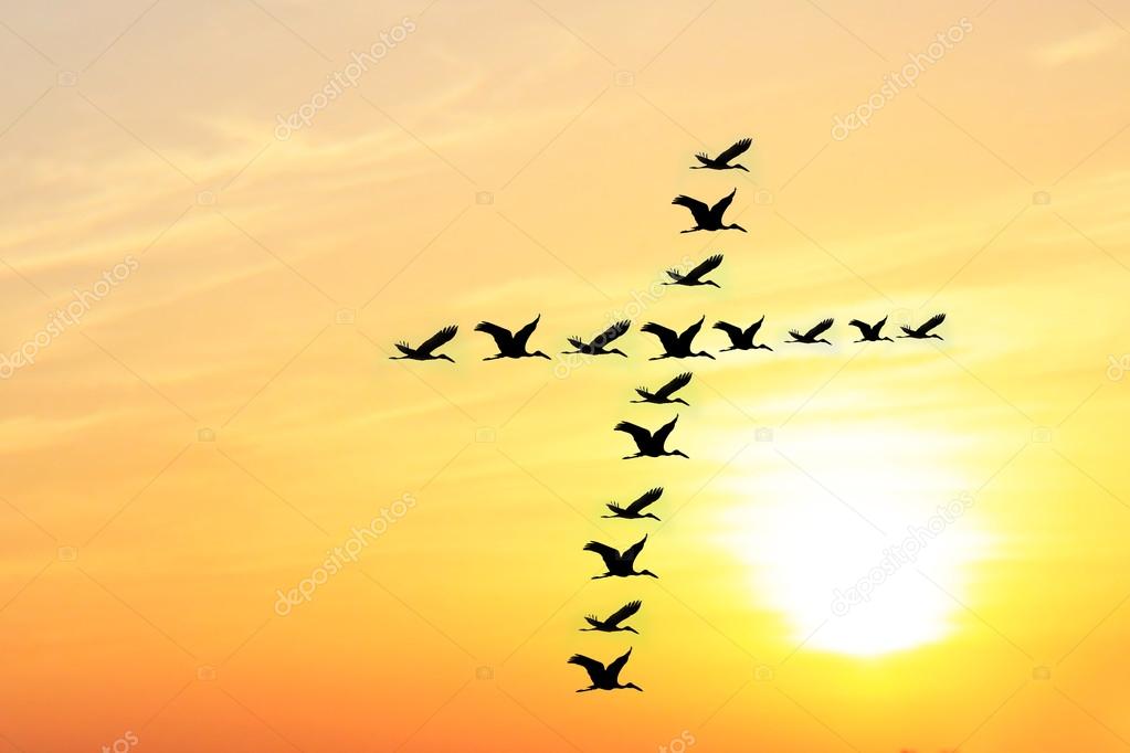 Beautiful & heavenly sky in the evening with birds forming holy — Stock ...
