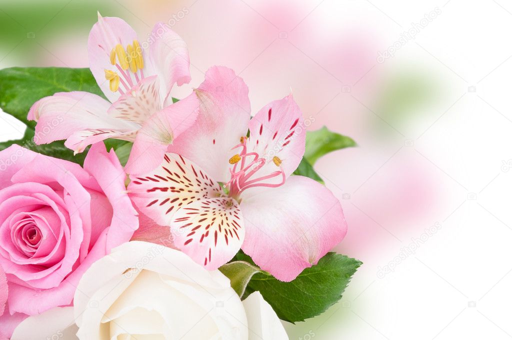 Pink flowers Stock Photo by ©Artness 26080113