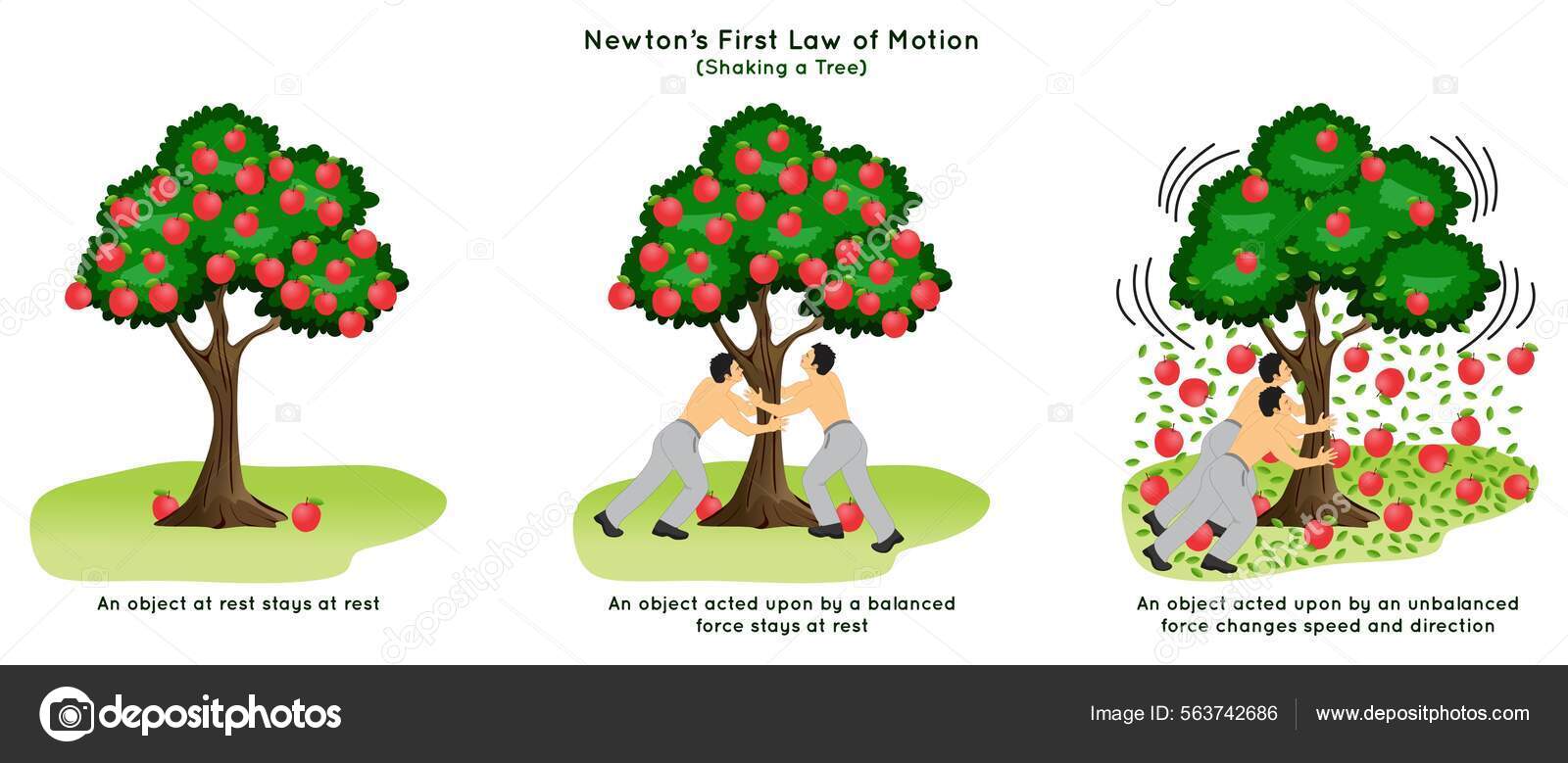 Hoja De Trabajo Sobre La Ley Del Movimiento De Newton Segunda Ley De