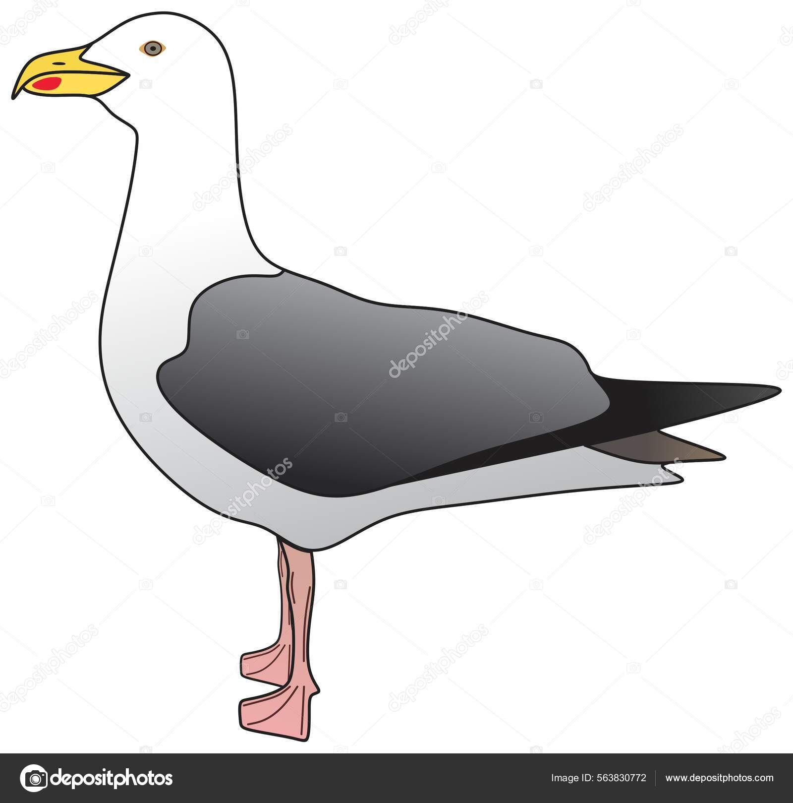 Seagull Animal Vector Drawing Standing Side View Wildlife Object Symbol ...