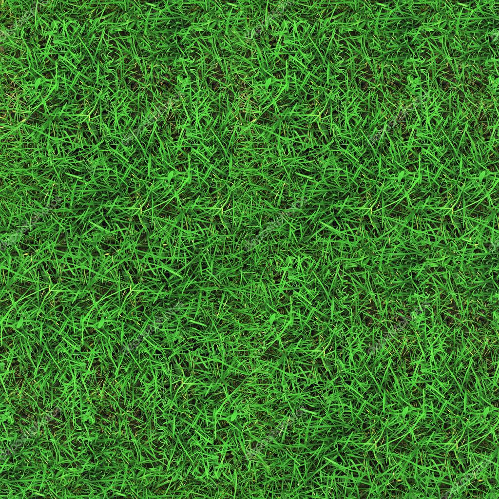 Green grass seamless texture Stock Photo by ©kav777 49875837