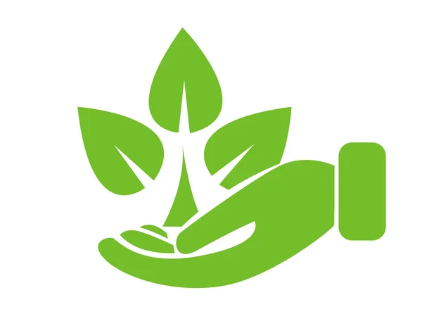 Plant logo Stock Photos, Royalty Free Plant logo Images | Depositphotos