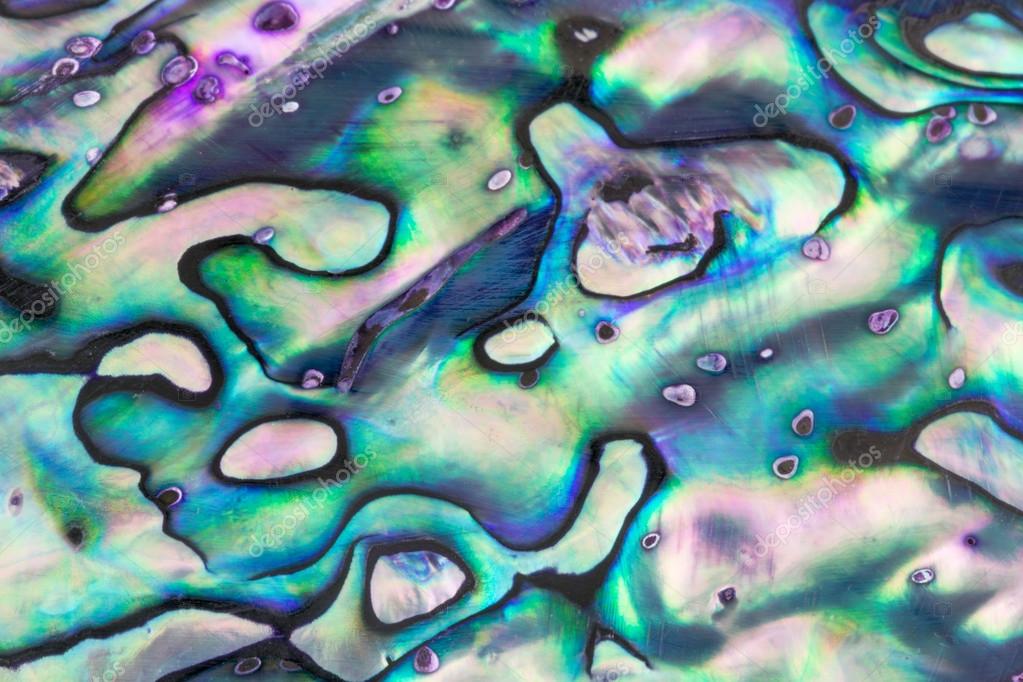 Close up shot of blue abalone pearl shell. Stock Photo by ©18042011 ...