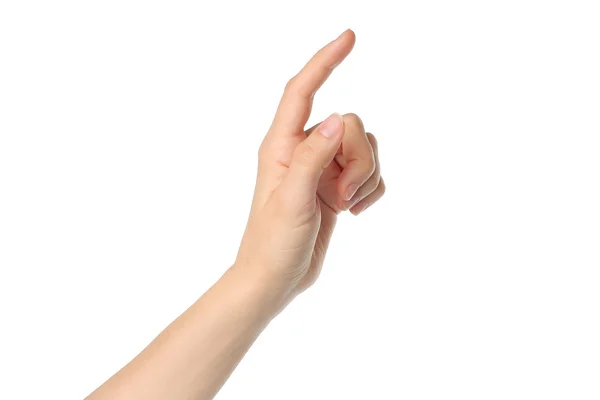 Woman hand Stock Photo by ©rozelt 13473158