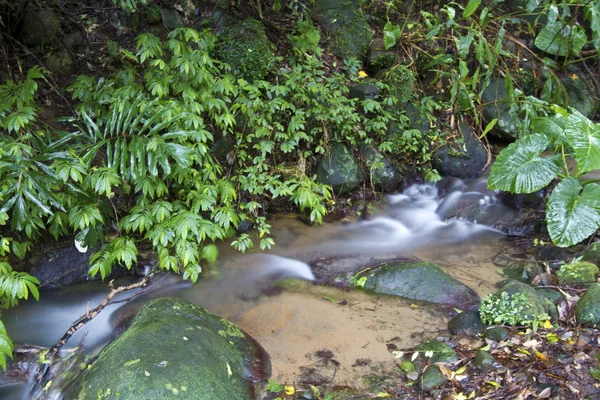 Ecological water Stock Photos, Royalty Free Ecological water Images ...