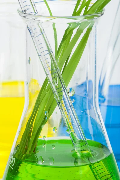 Green plants in laboratory equipment — Stock Photo © deyangeorgiev2 ...