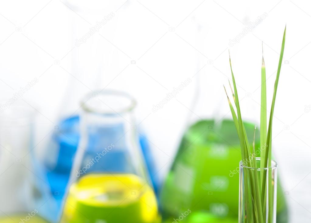 Green plants in laboratory equipment Stock Photo by ©deyangeorgiev2 ...