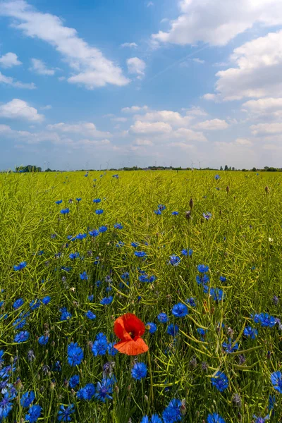 Landscape cover page Images - Search Images on Everypixel