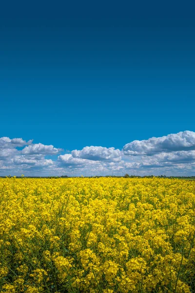 Landscape cover page Images - Search Images on Everypixel