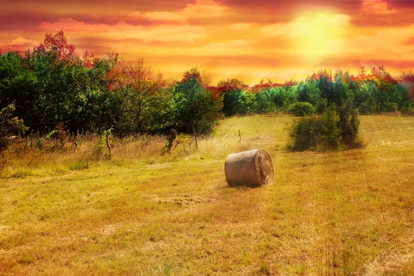 Hayfield Stock Photos, Royalty Free Hayfield Images | Depositphotos®