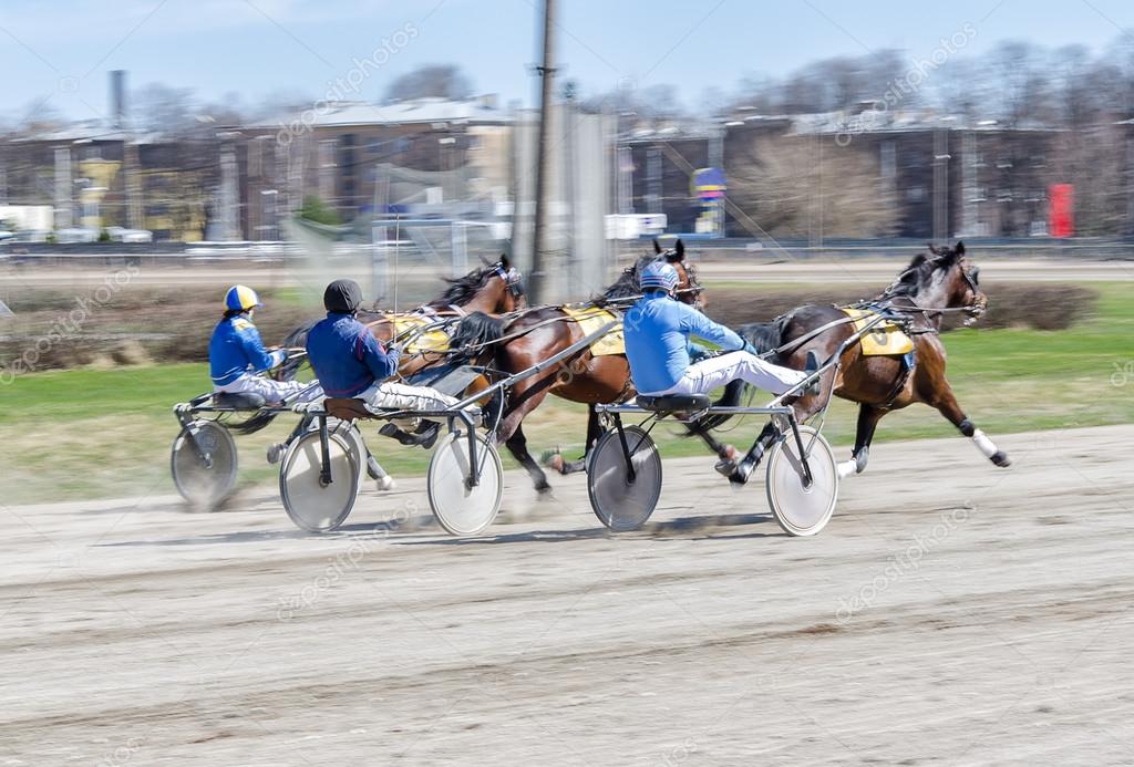 Harness racing. Racing horses harnessed to lightweight strollers. Stock ...