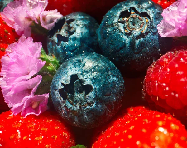 Blue strawberries Stock Photos, Royalty Free Blue strawberries Images ...