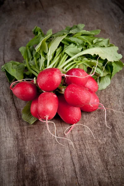 Rabano fotos de stock, imágenes de Rabano sin royalties | Depositphotos