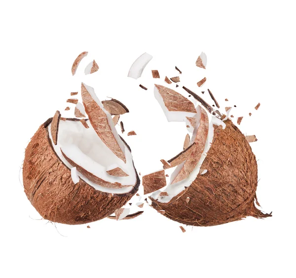 Concha de coco fotos de stock, imágenes de Concha de coco sin royalties ...