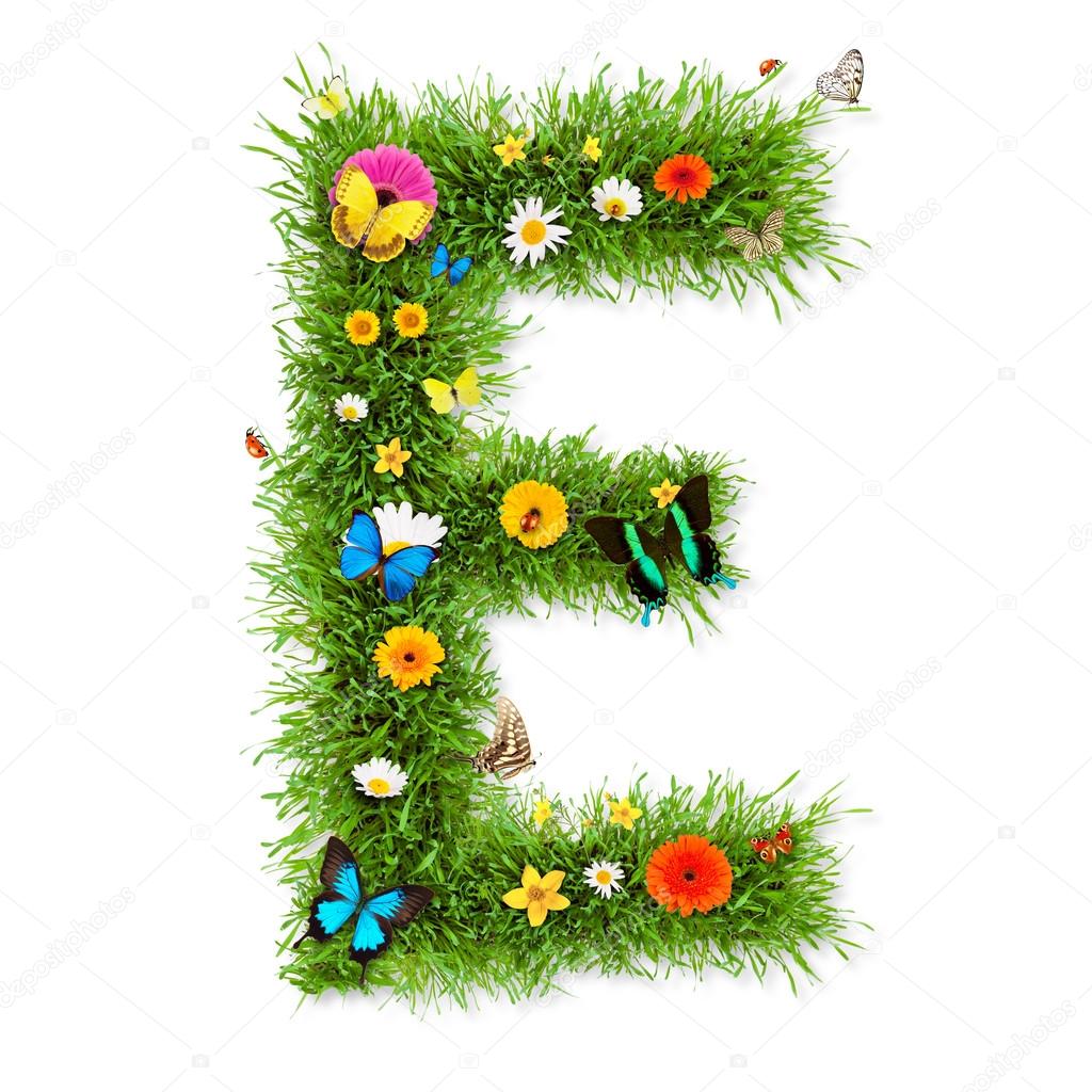 Spring letter "E" Stock Photo by ©jag_cz 41283207