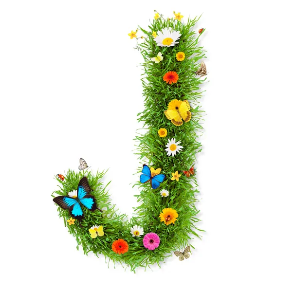 Spring letter "W" Stock Photo by ©jag_cz 41327519