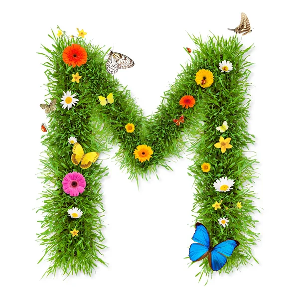 Spring letter "H" — Stock Photo © jag_cz #41295277