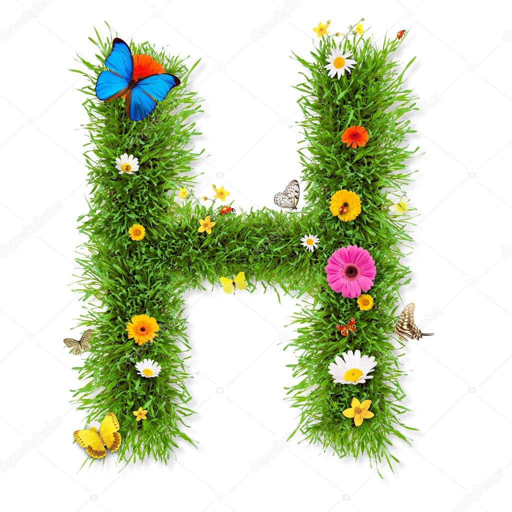 Spring letter "H" — Stock Photo © jag_cz #41295277