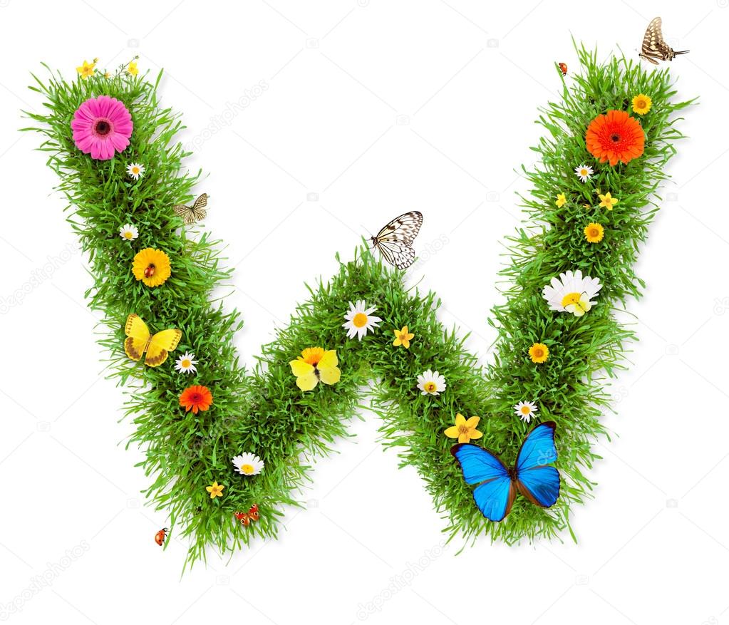 Spring letter "W" Stock Photo by ©jag_cz 41327519