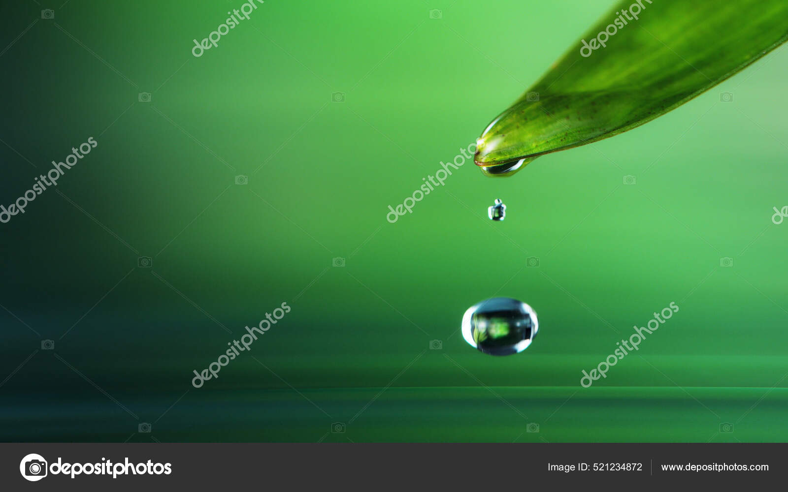 Spa Wellness Background Water Leaves Tranquil Scene Free Space Text ...