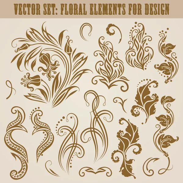 Vector vintage floral design elements — Stock Vector © makarova.alex ... Vector vintage floral design elements — Stock Vector © makarova.alex ...