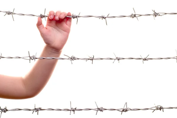 Hand behind barbed wire Stock Photo by ©aaron007 122394276