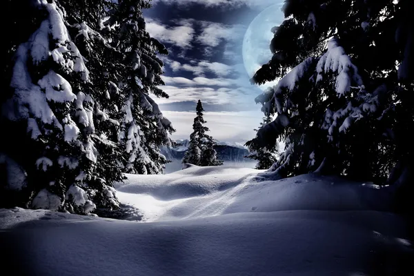 Winter moon forest Stock Photos, Royalty Free Winter moon forest Images ...