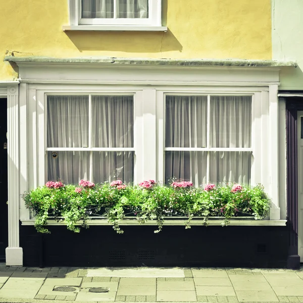 Window garden Stock Photos, Royalty Free Window garden Images ...