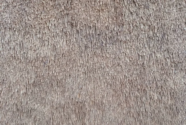 Seamless Thatch Texture