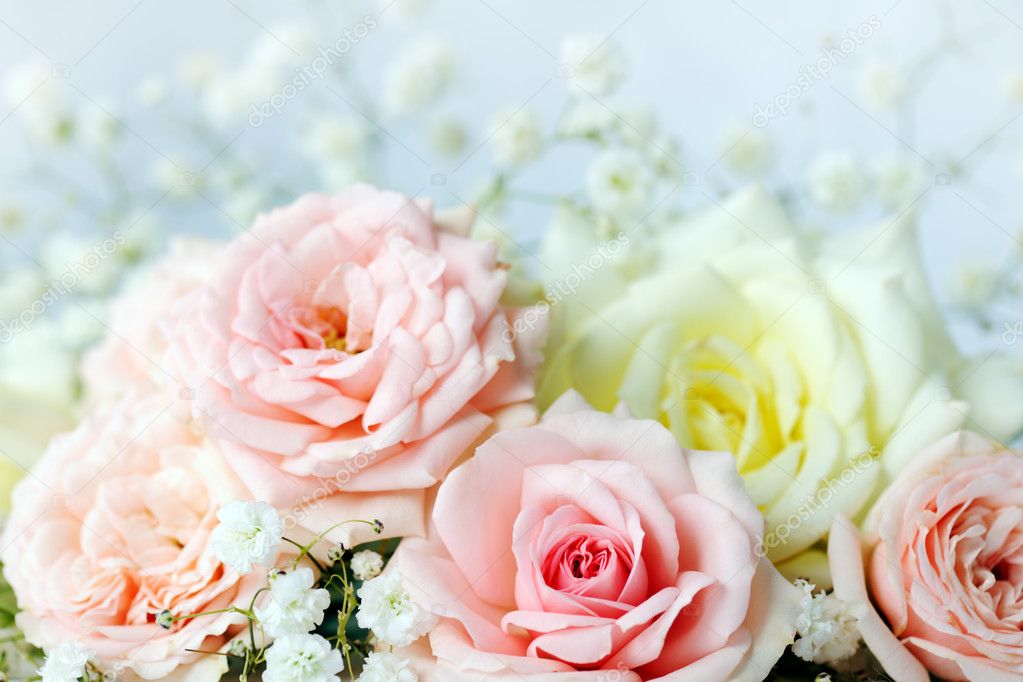 Beautiful roses Stock Photo by ©annakhomulo 12446629