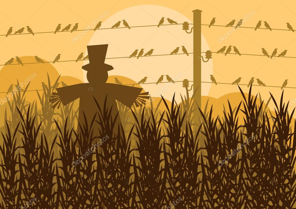 Espantap jaros en campo de ma z oto o paisaje ilustraci n 2024