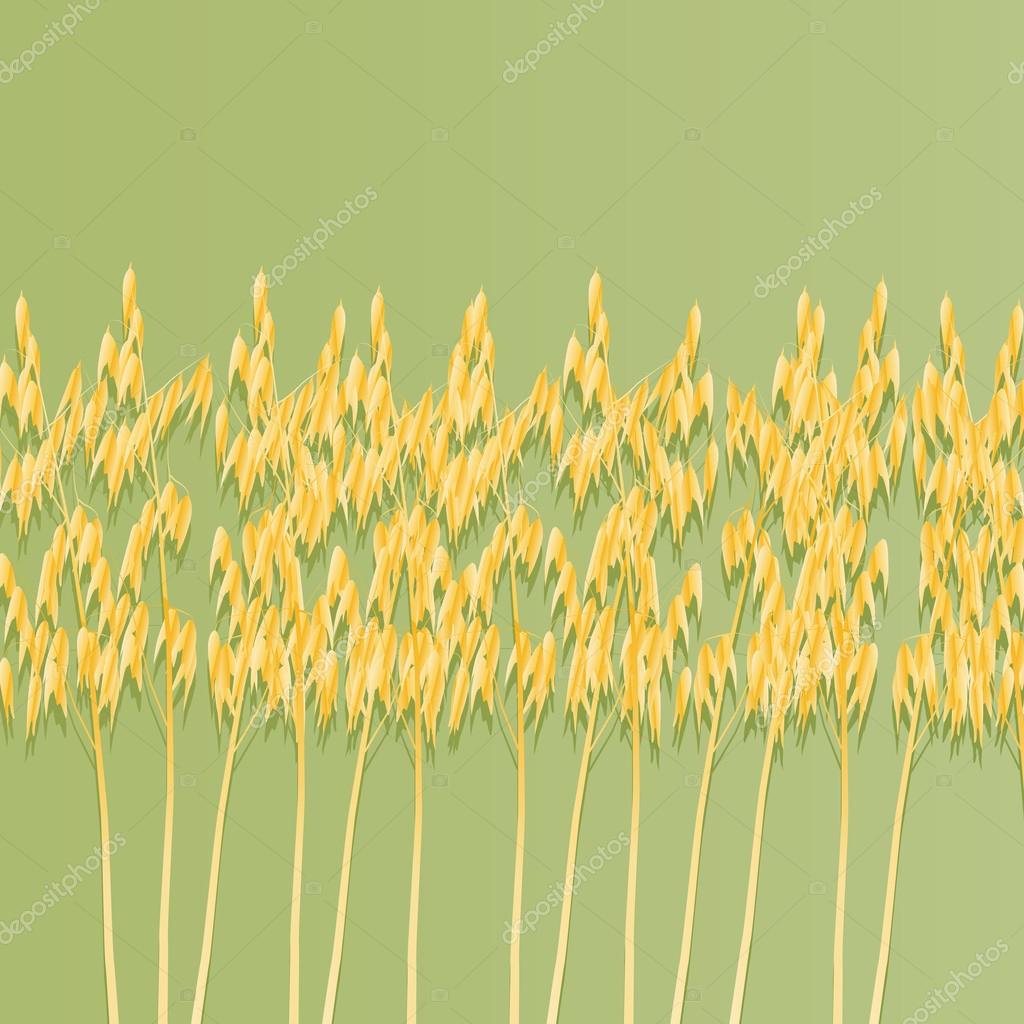 Avena vector de fondo 2024