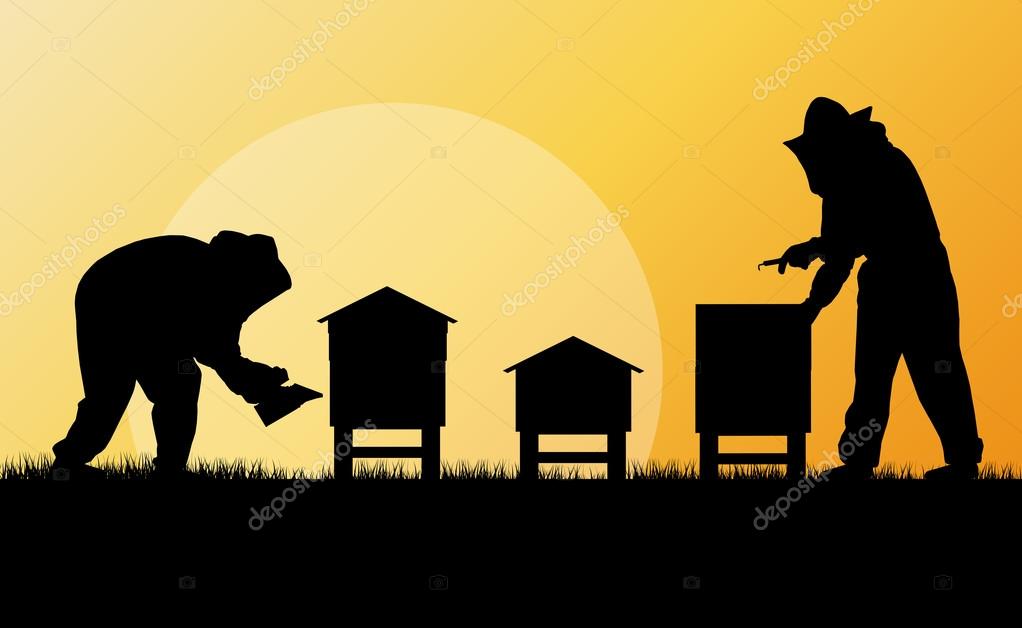 Beekeeper working in apiary vector background Stock Vector by ... Beekeeper working in apiary vector background Stock Vector by ...