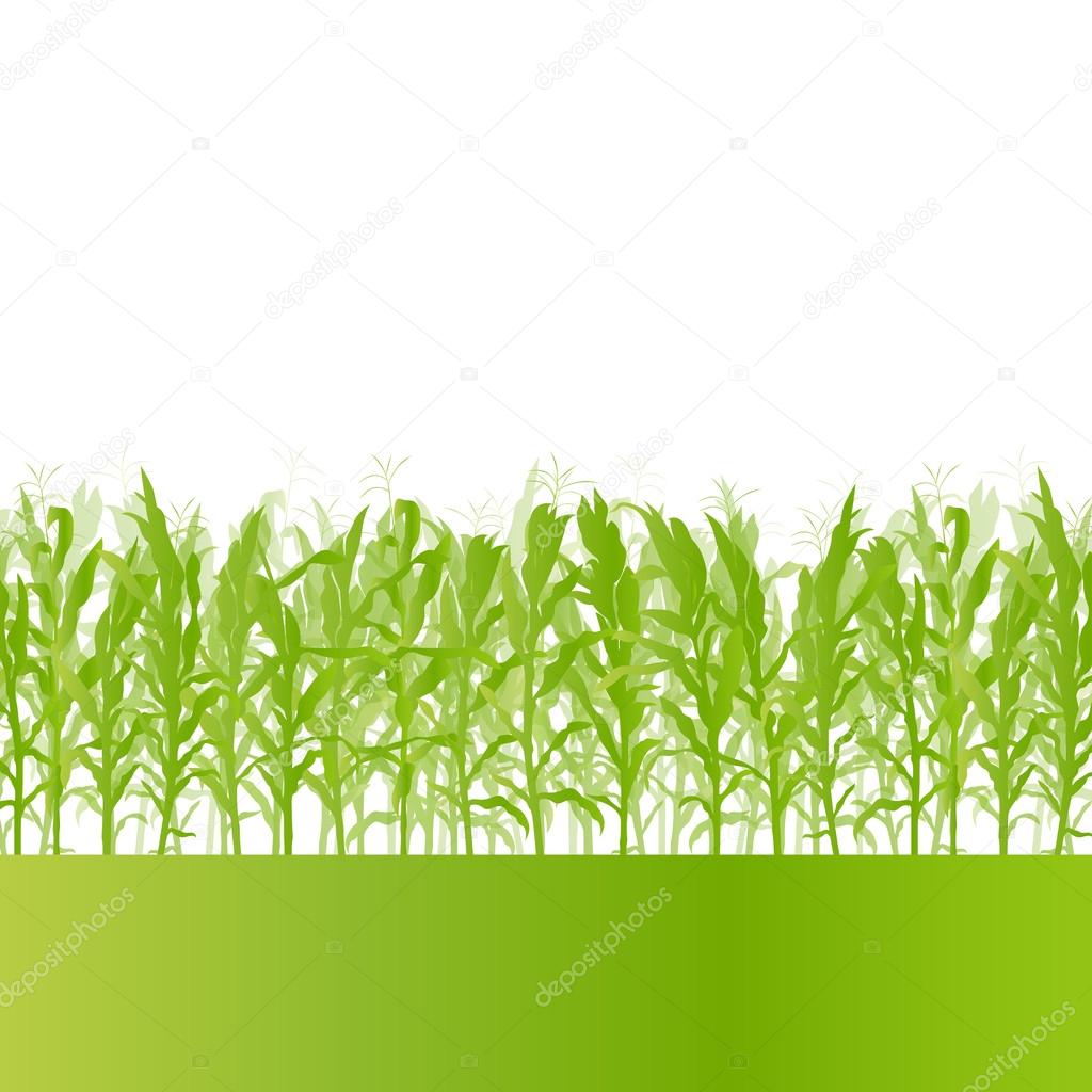 Corn Field Vector