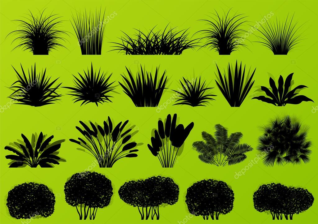Exotic jungle bushes grass, reed, palm tree wild plants collecti Stock ...