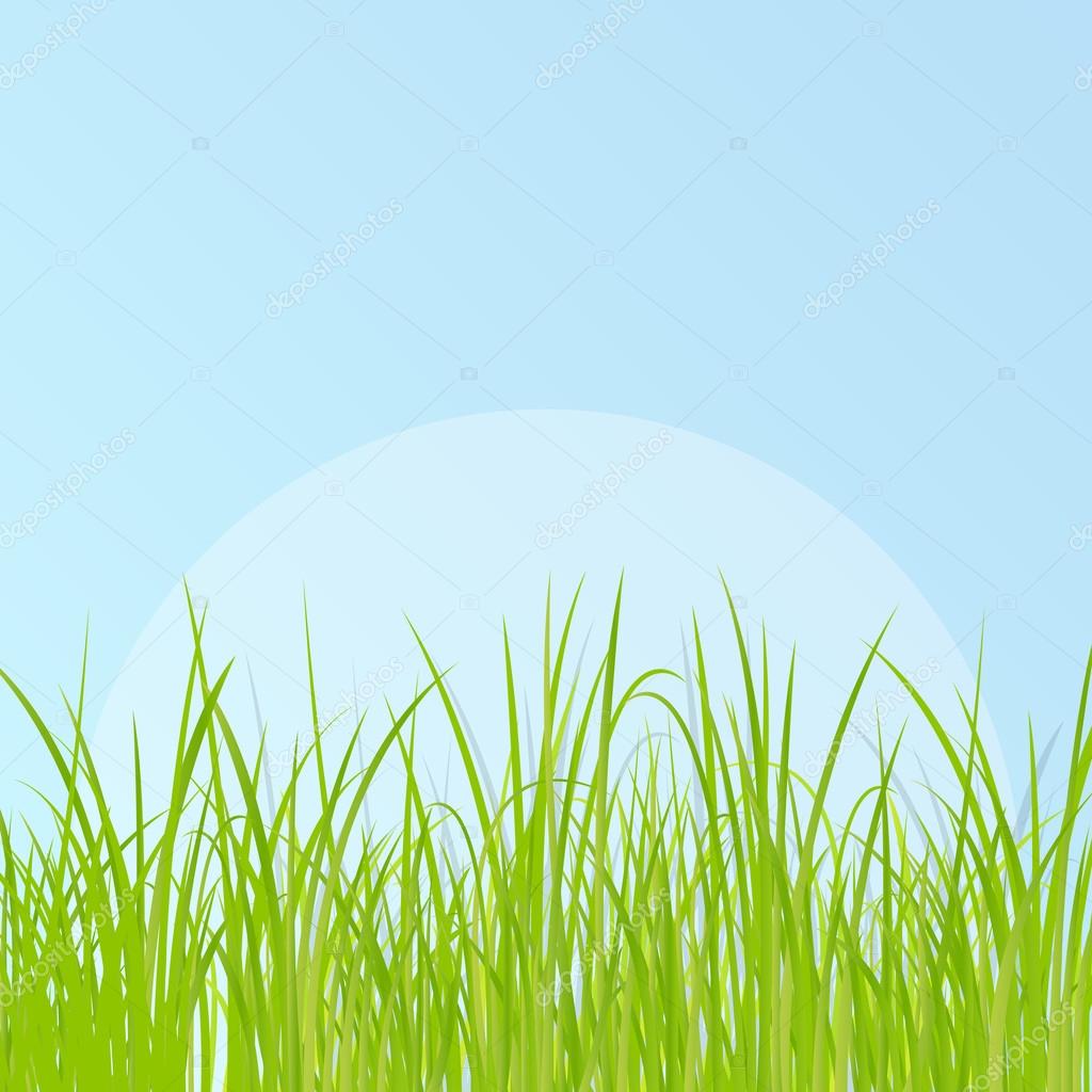 Grass detailed illustration background Stock Vector Image by ©k3studija ...