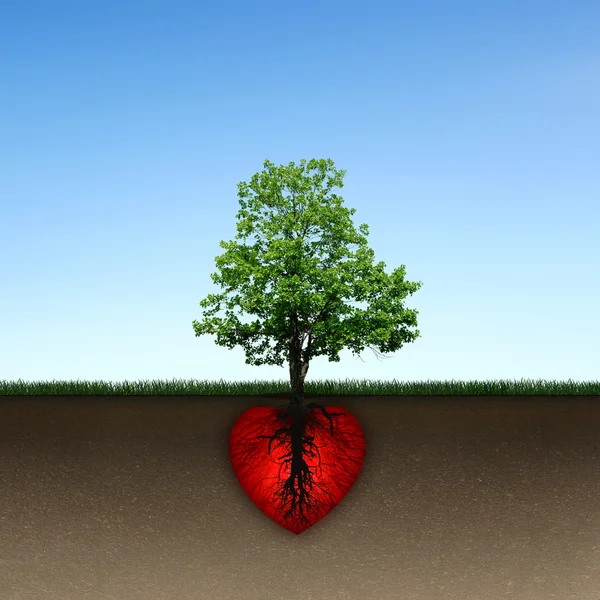Tree and root of red heart Stock Photo by ©Archipoch 13955180