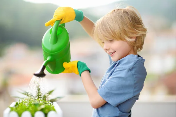 Cleaning the environment Stock Photos, Royalty Free Cleaning the ...
