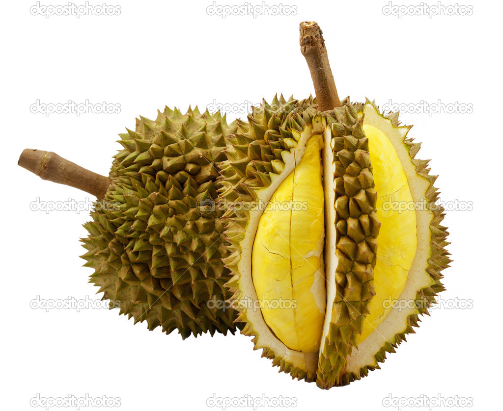 Durian isolated — Stock Photo © WitthayaP #12519977