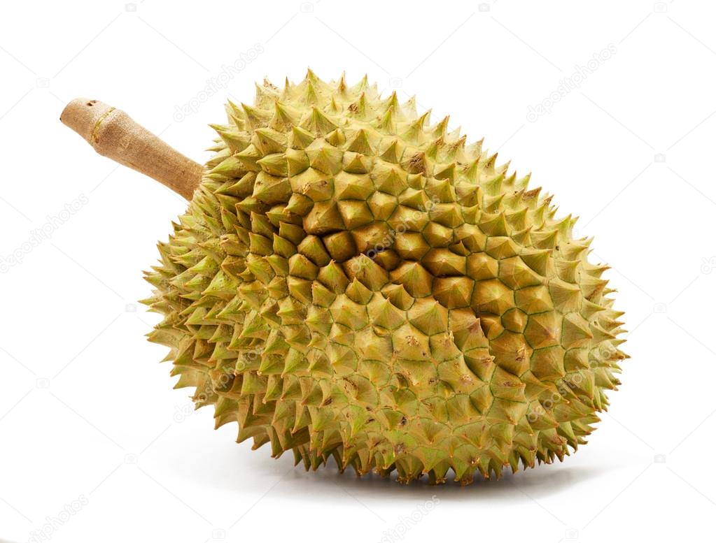 Durian isolated — Stock Photo © WitthayaP #12521673