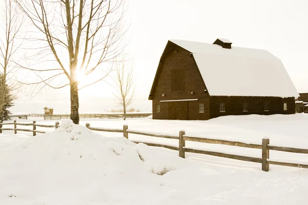 Winter farm Stock Photos, Royalty Free Winter farm Images | Depositphotos