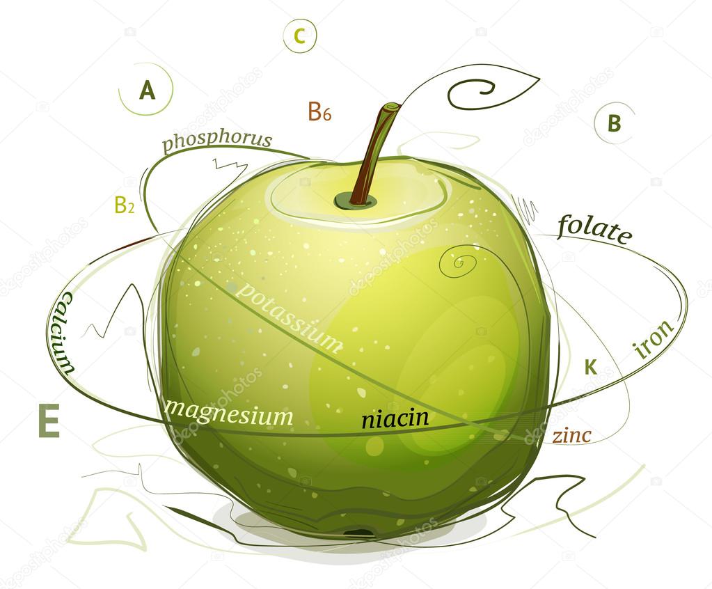 Apple vitamins and minerals illustration Stock Vector Image by ...