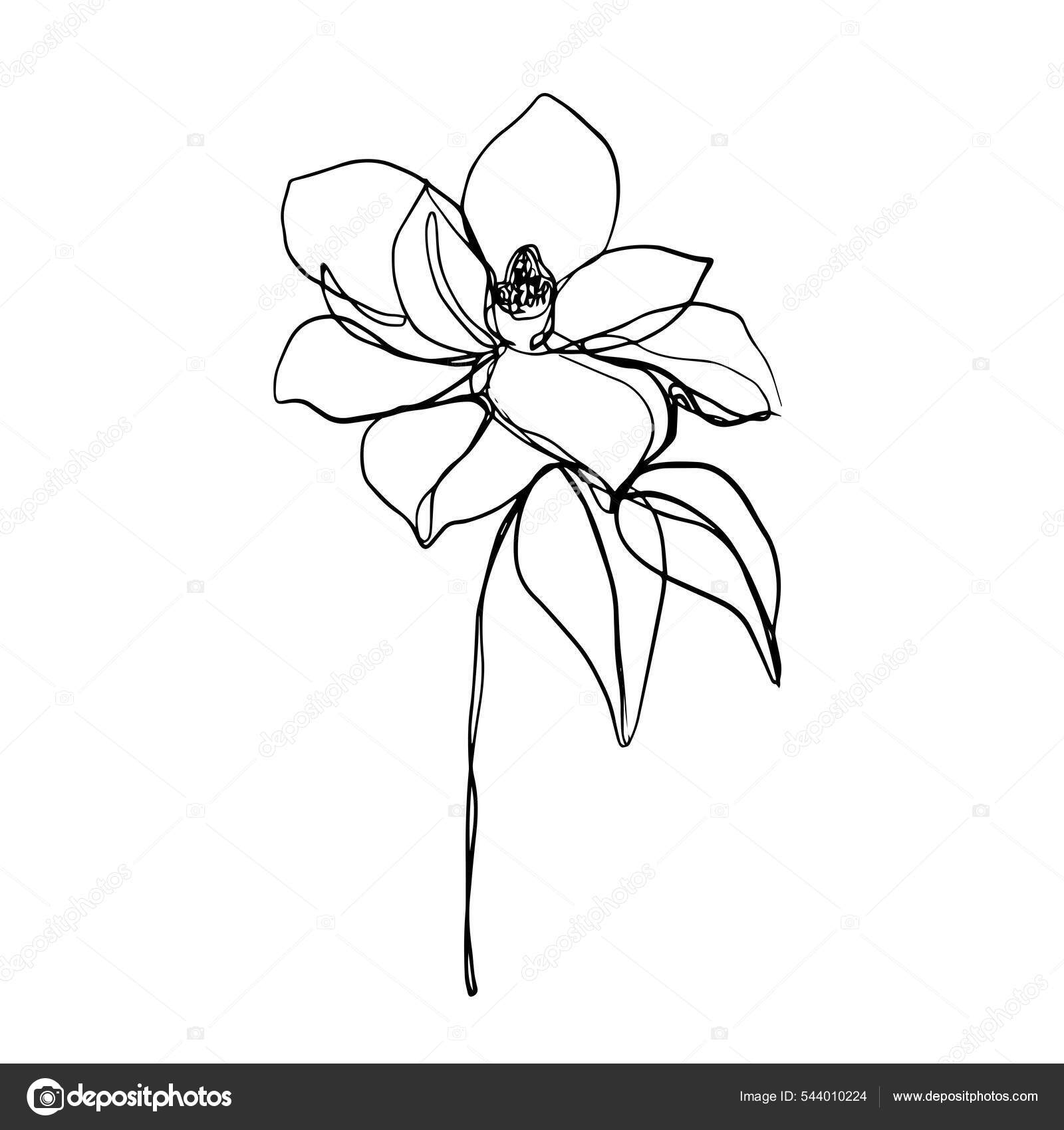 Flower Line Art Abstract Modern Minimal Perfect Home Decor Posters ...